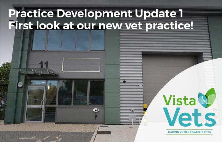 Brand New Vet Practice in Chelmsford | Vista Vets Development Update 1