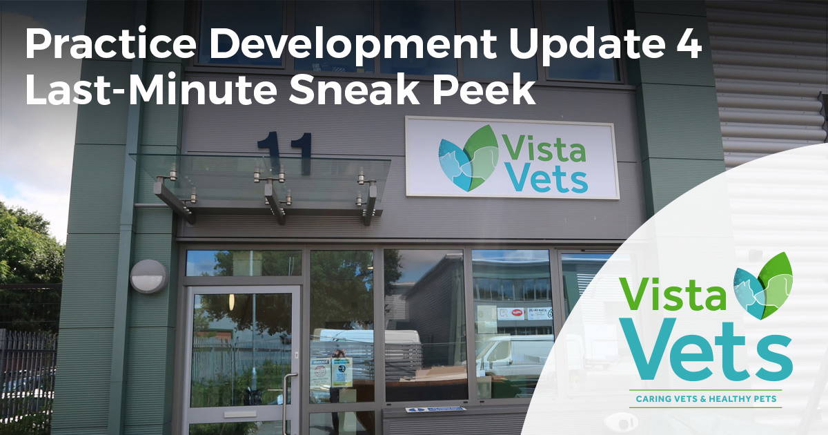 Development Update #4 | Vista Vets, a Brand New Vet in Chelmsford