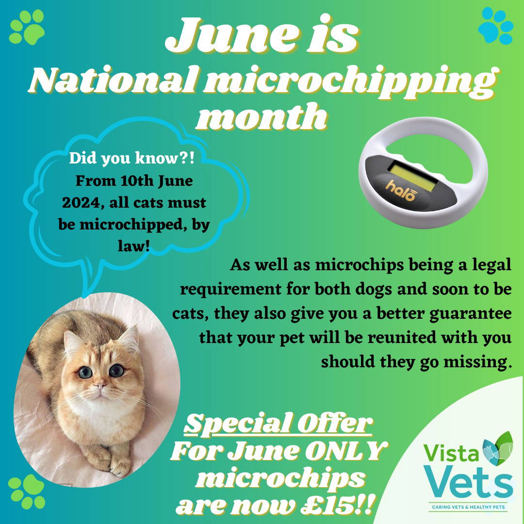 £15 Microchipping for June | National Microchipping Month