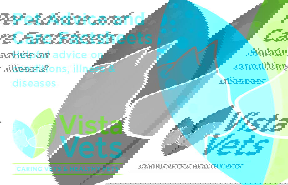 Vista Vets Pet Factsheets | Expert Pet Care Information 📚