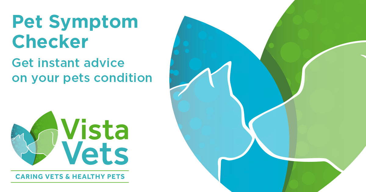 Pet Symptom Guide | Vista Vets Chelmsford 🤒