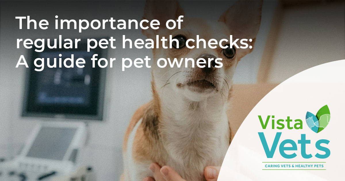 The importance of regular pet health checks: A guide for pet owners ...
