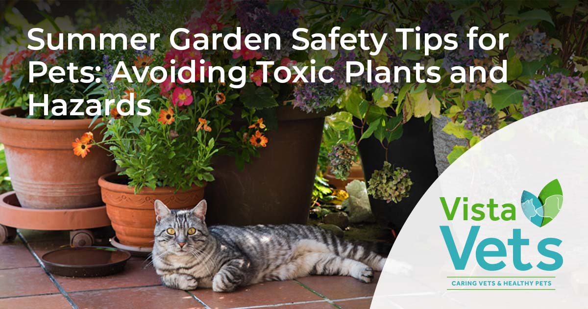 Summer Garden Safety Tips for Pets: Avoiding Toxic Plants & Hazards