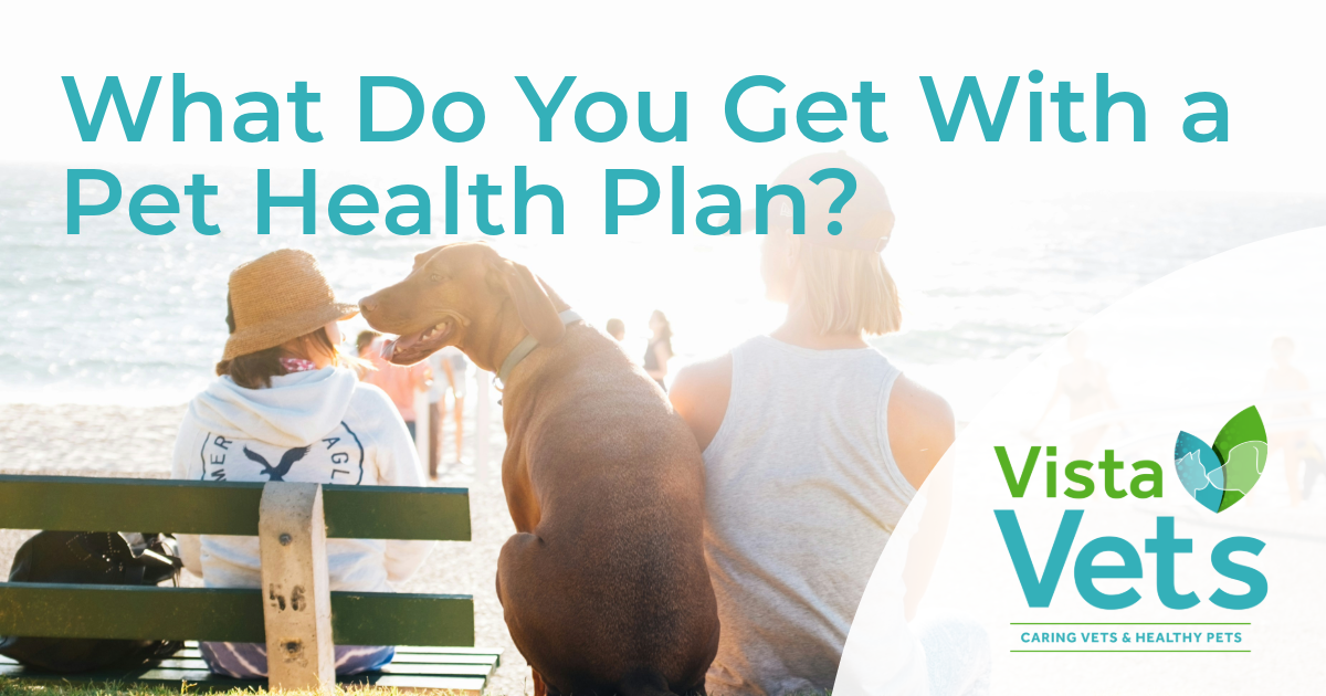What do you get with a Pet Health Plan? - Vista Vets