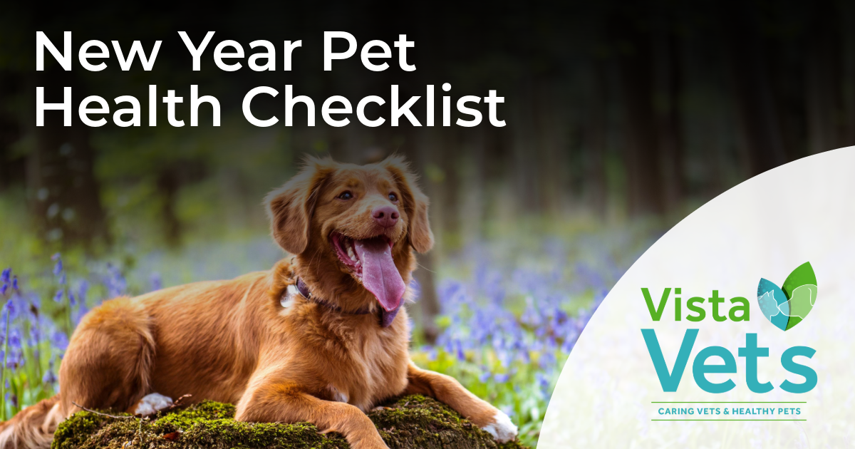 New Year Pet Health Checklist: Start the Year Right for Your Pet